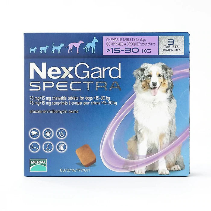 Nexgard Spectra (Dog 15-30kg) – Passion Vet